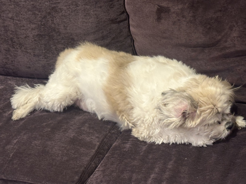 Cryptic No. 2: Game Diagram Containing Personal Letters – Jeff’s Puzzles